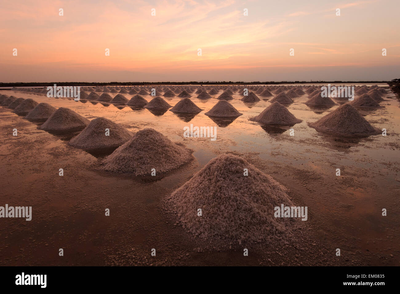 Beautiful landscape of a summer with a salt farm in Thailand Stock ...