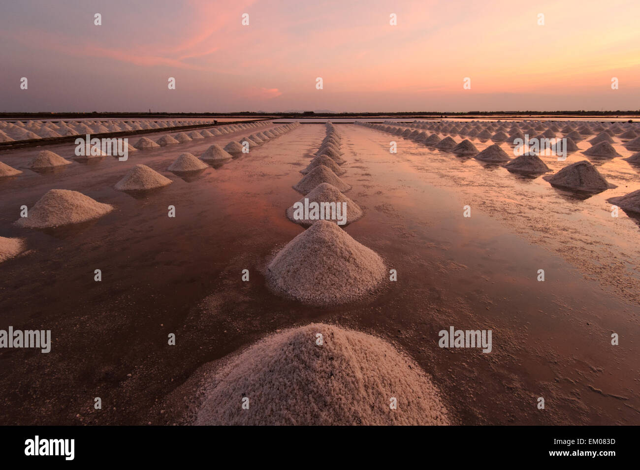 Beautiful landscape of a summer with a salt farm in Thailand Stock ...
