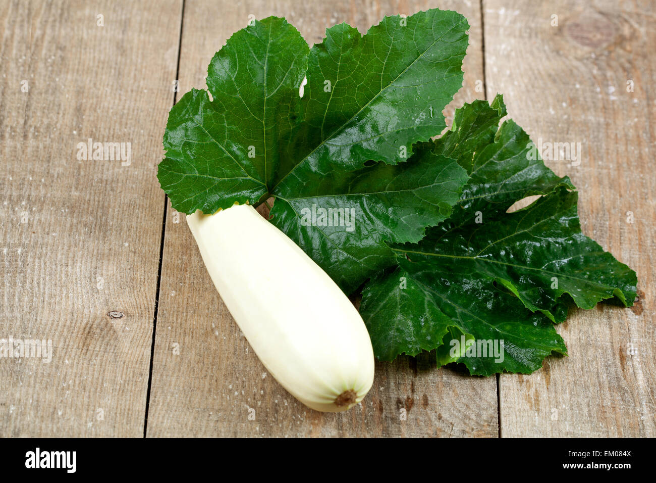 fresh zucchini with green leaves Stock Photo - Alamy