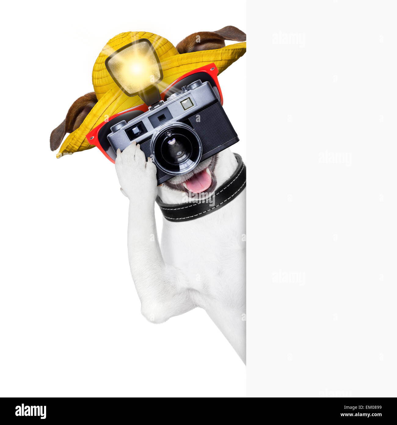 Tourist travel photography Cut Out Stock Images & Pictures - Alamy