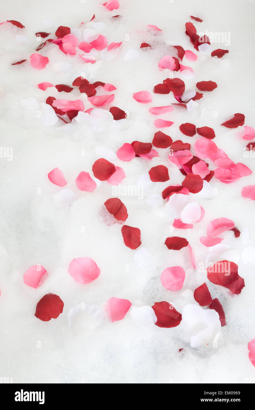 Rose water production hi-res stock photography and images - Alamy