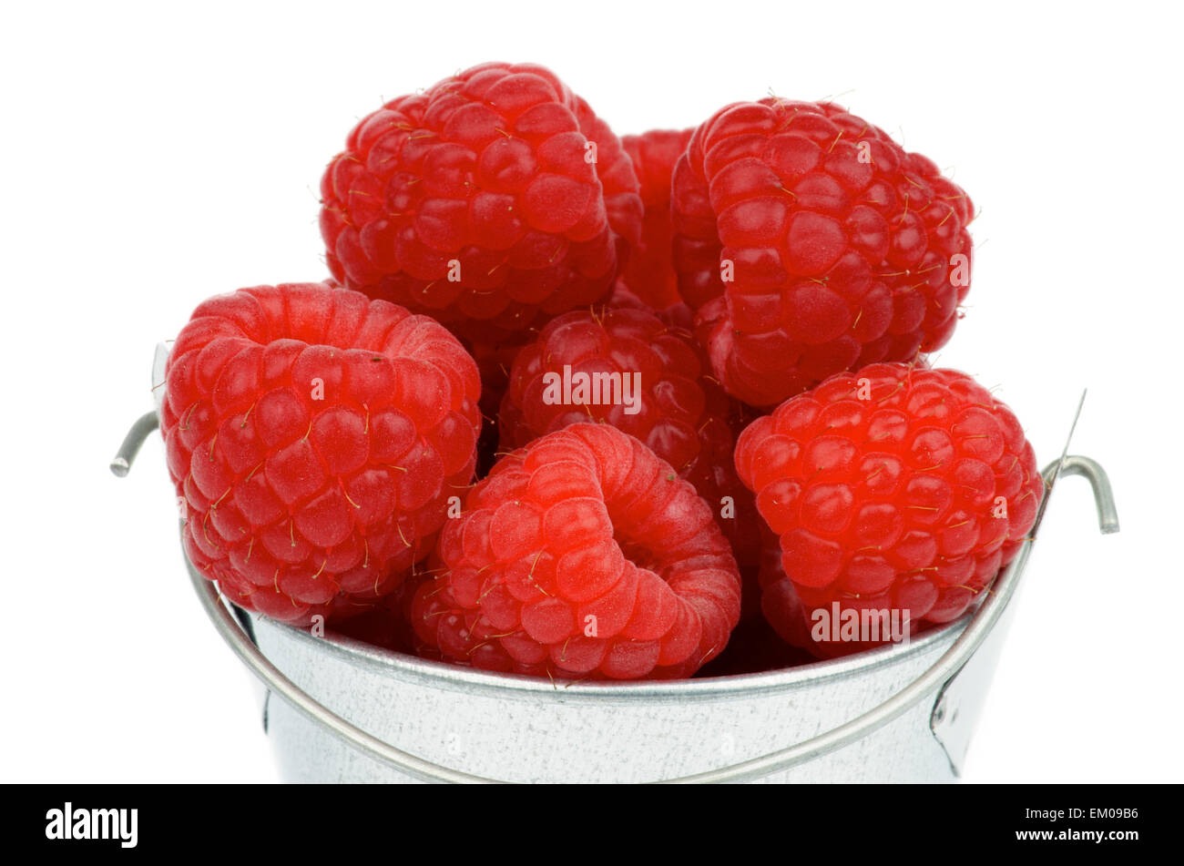 Raspberries in Bucket Stock Photo - Alamy