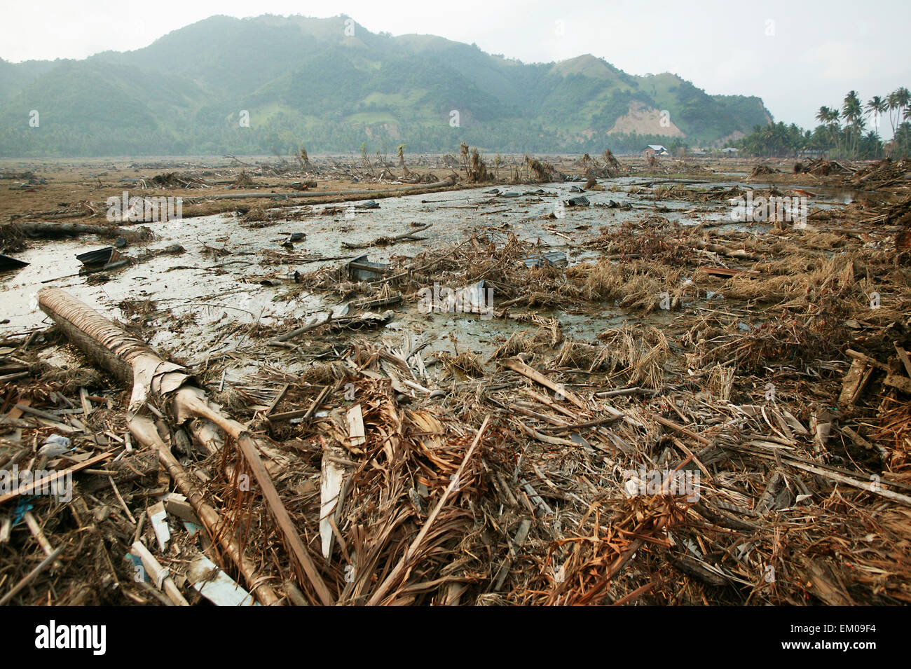 Destruction,Indonesia,Rice Fields,Banda Aceh Stock Photo - Alamy