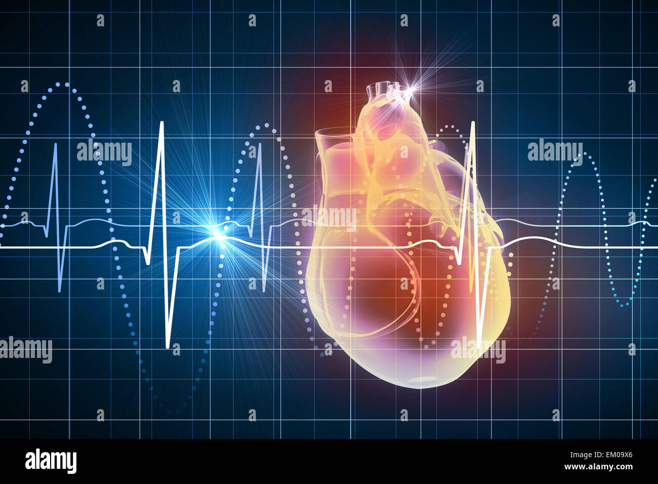 Human heart beats Stock Photo - Alamy
