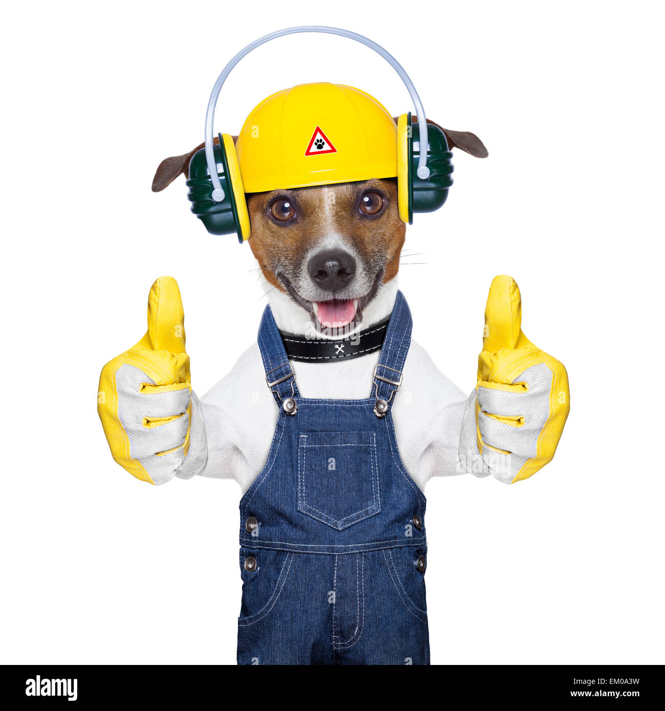 under construction dog Stock Photo - Alamy