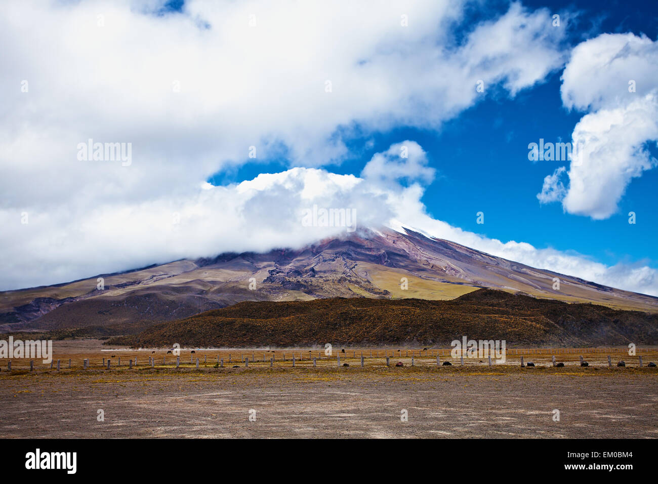 Cotopaxi Volcano in the background of blue sky and clouds Stock Photo ...