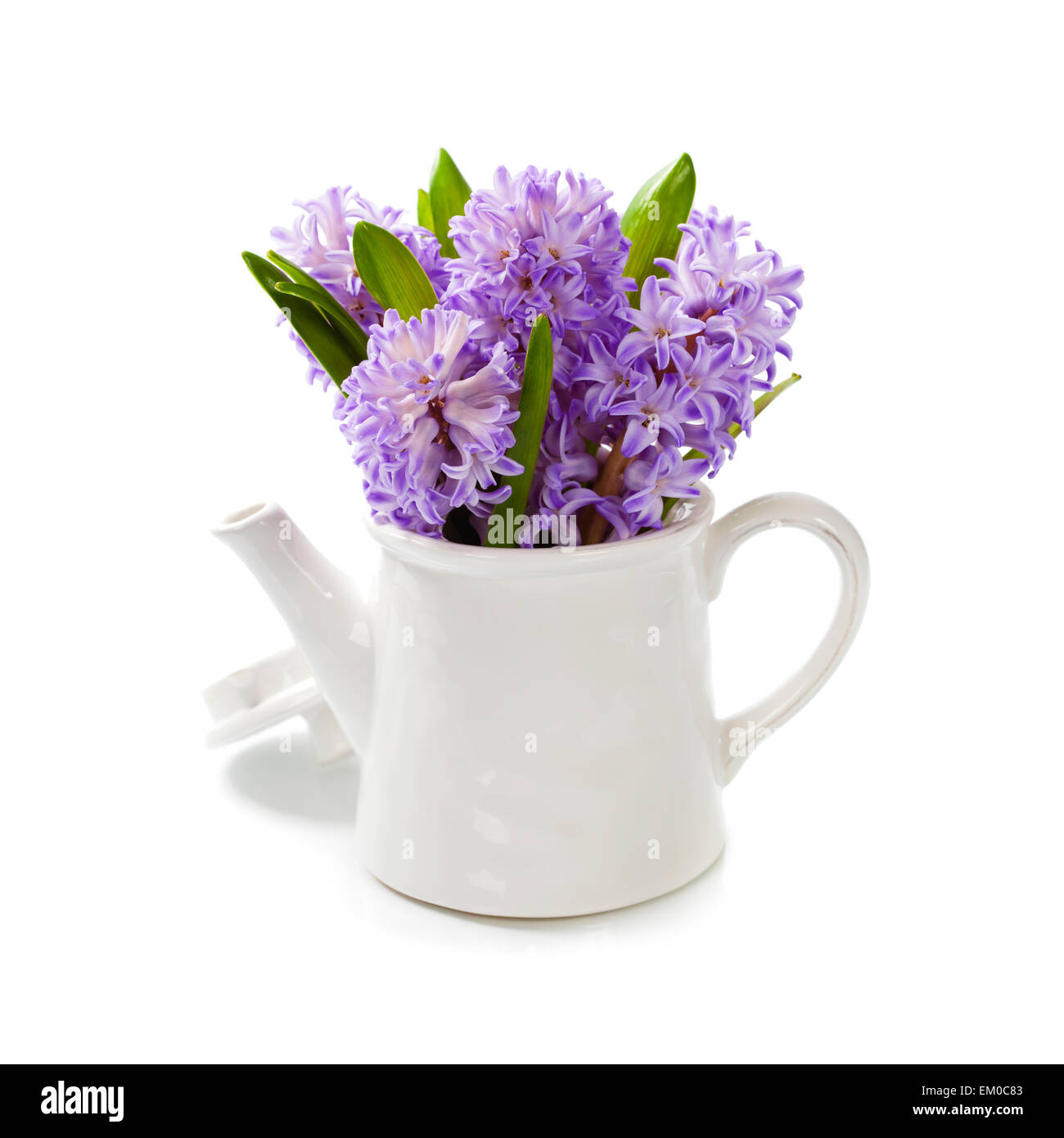 Beautiful flower in macro Cut Out Stock Images & Pictures - Alamy