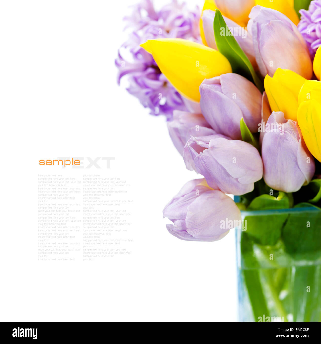 Beautiful spring flowers Stock Photo - Alamy