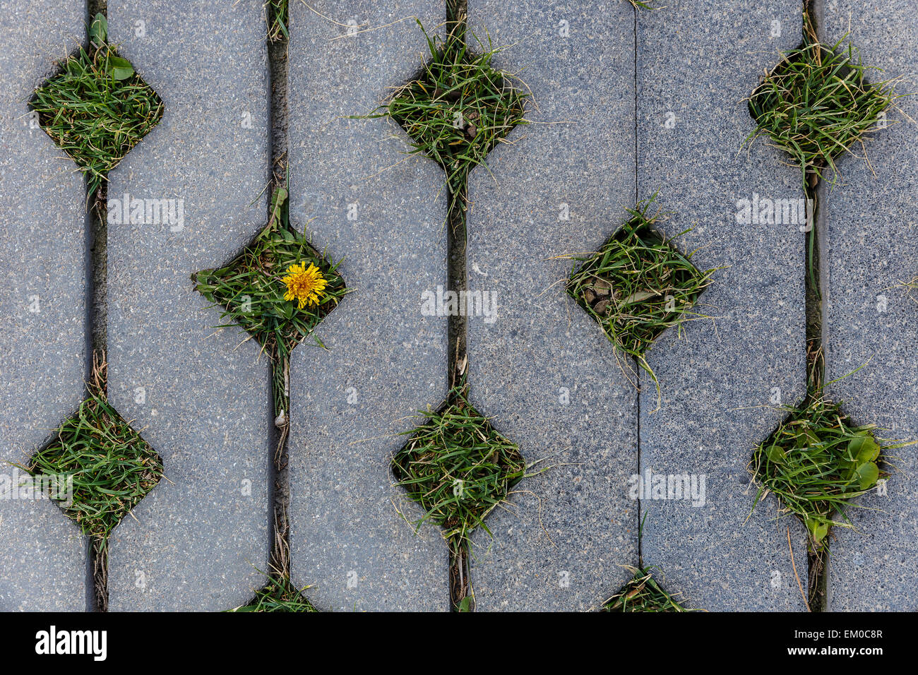 Slabs laid on the grass Stock Photo - Alamy
