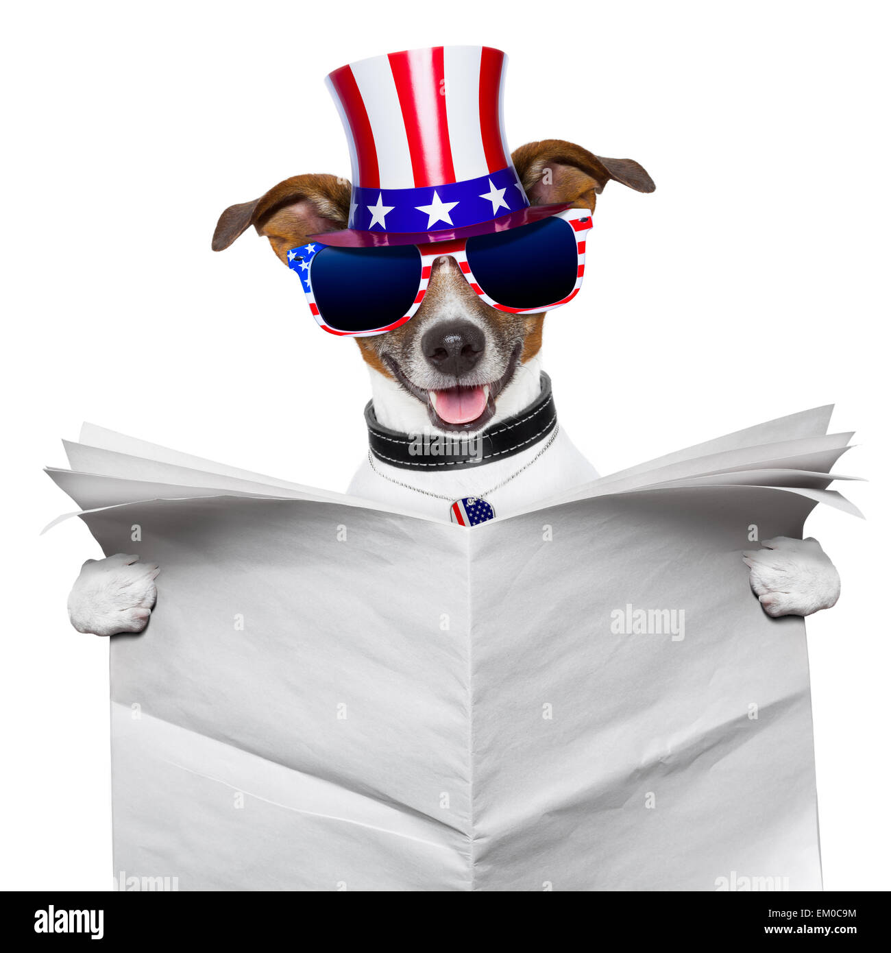 american dog reading Stock Photo - Alamy