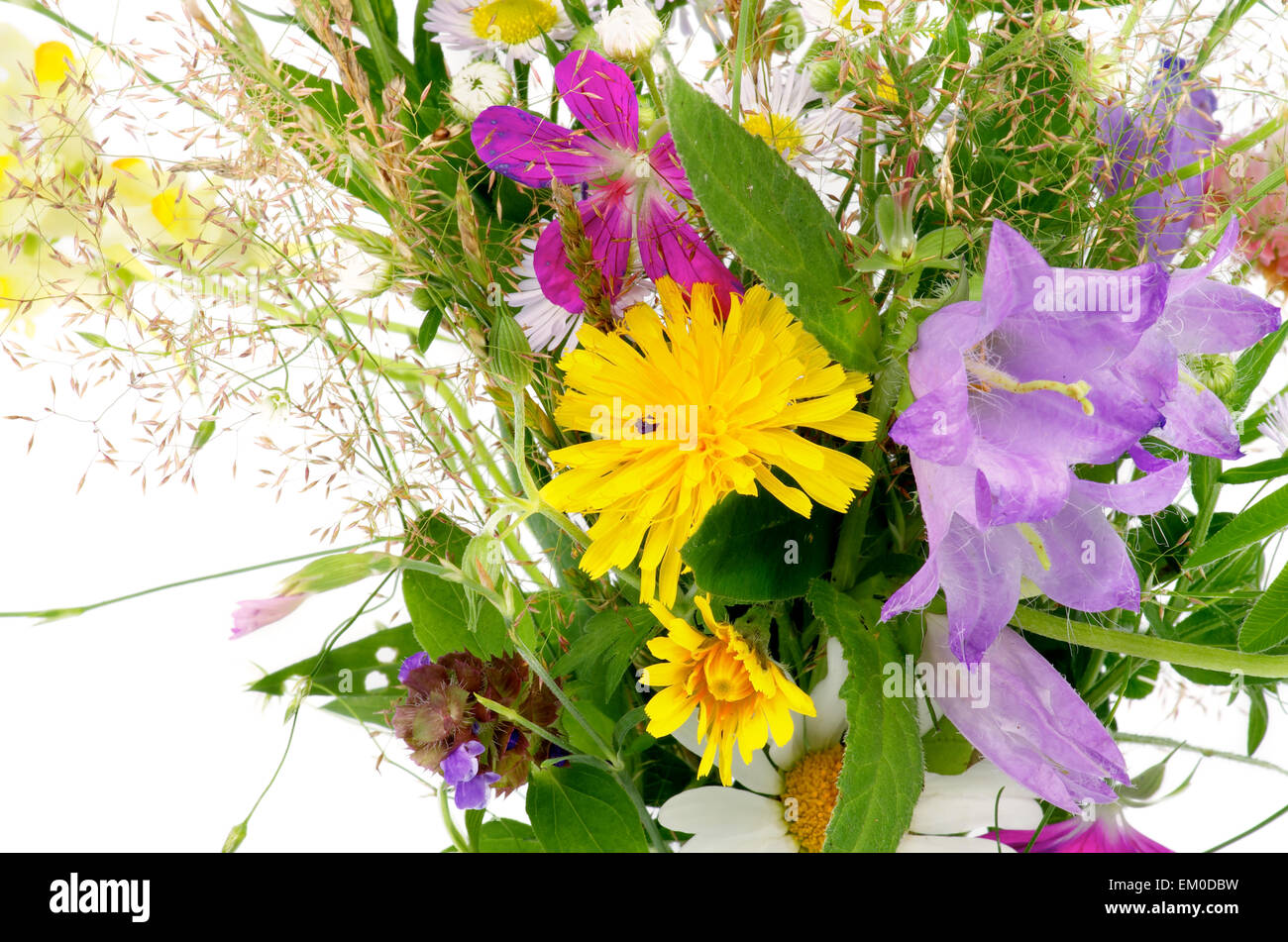 Wildflower bouquet hi-res stock photography and images - Alamy