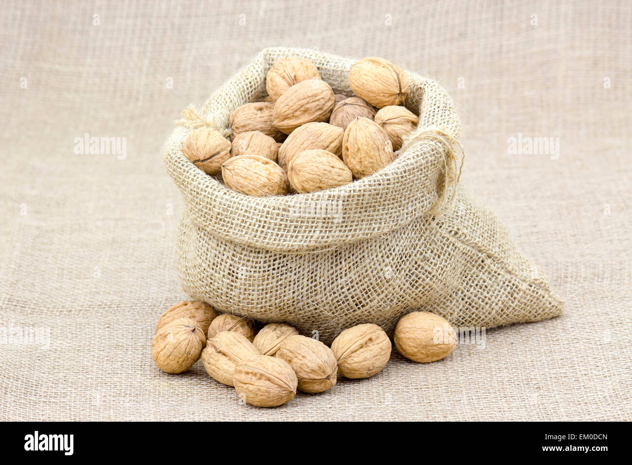 Burlap sack full of whole walnuts Stock Photo - Alamy