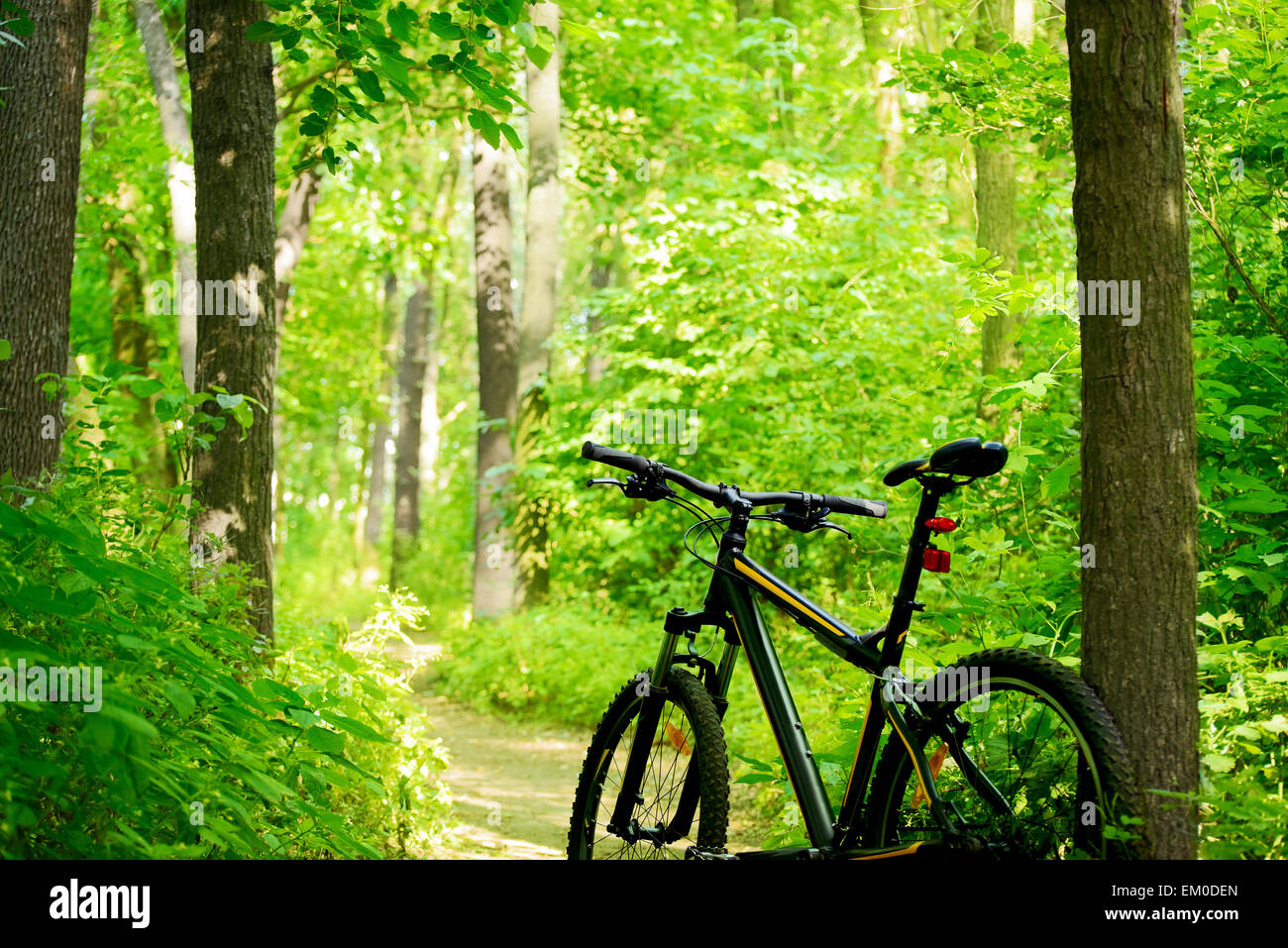 Beautiful mountain bike on hi-res stock photography and images - Alamy