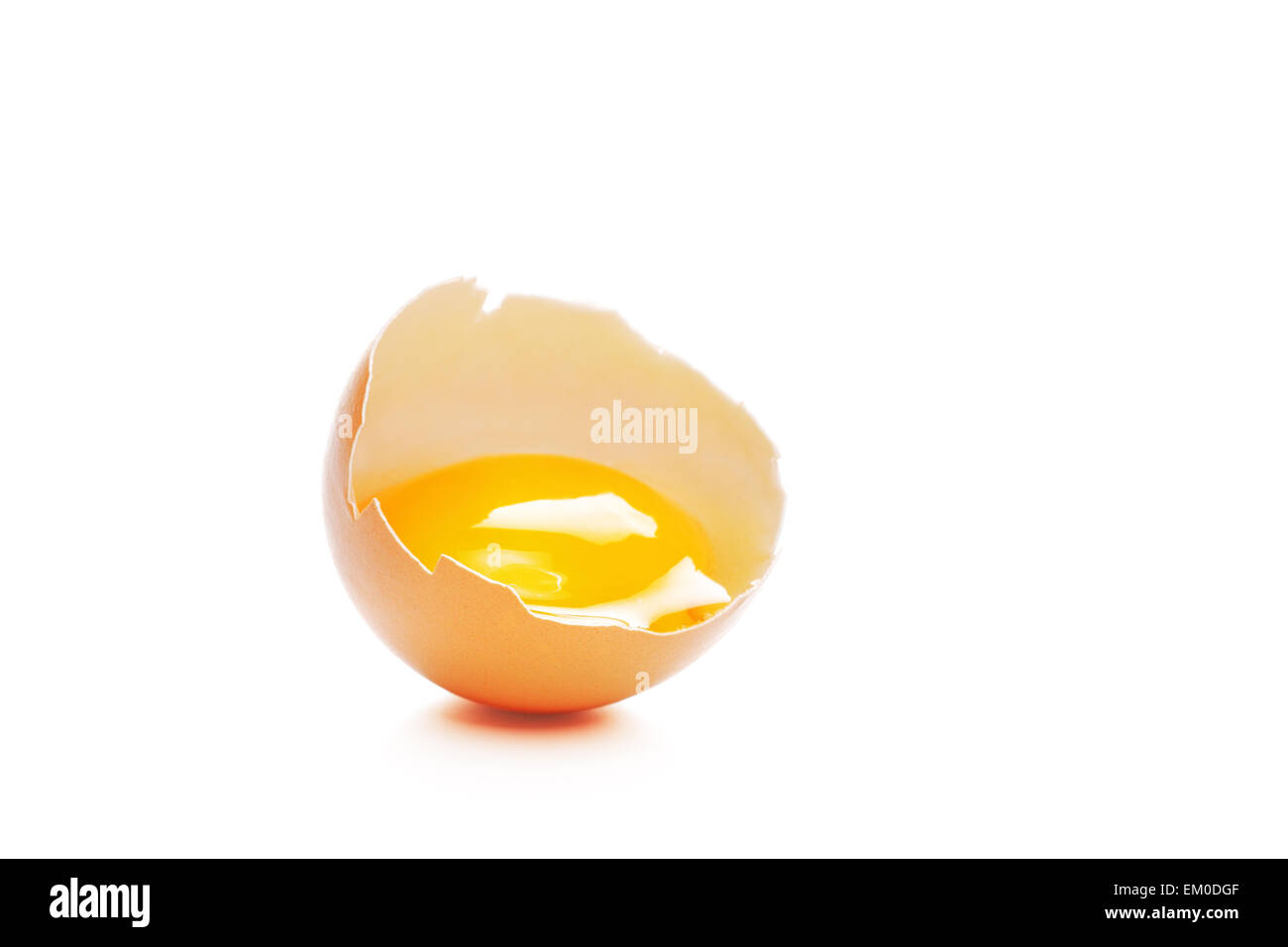 Studio shot of a broken eggshell with its fluids still inside the shell ...