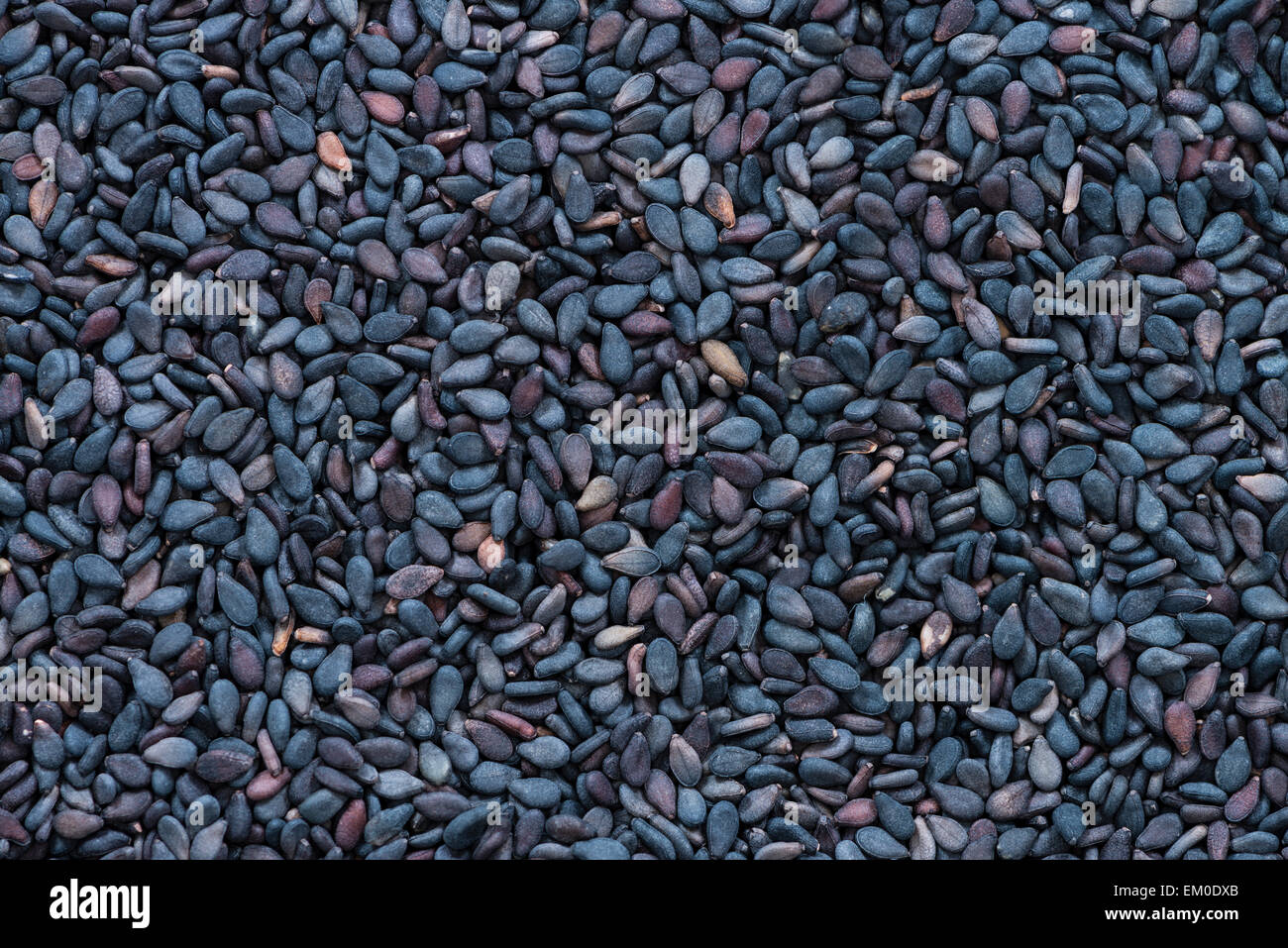 Portion of black Sesame (detailed close-up shot) for use as background ...