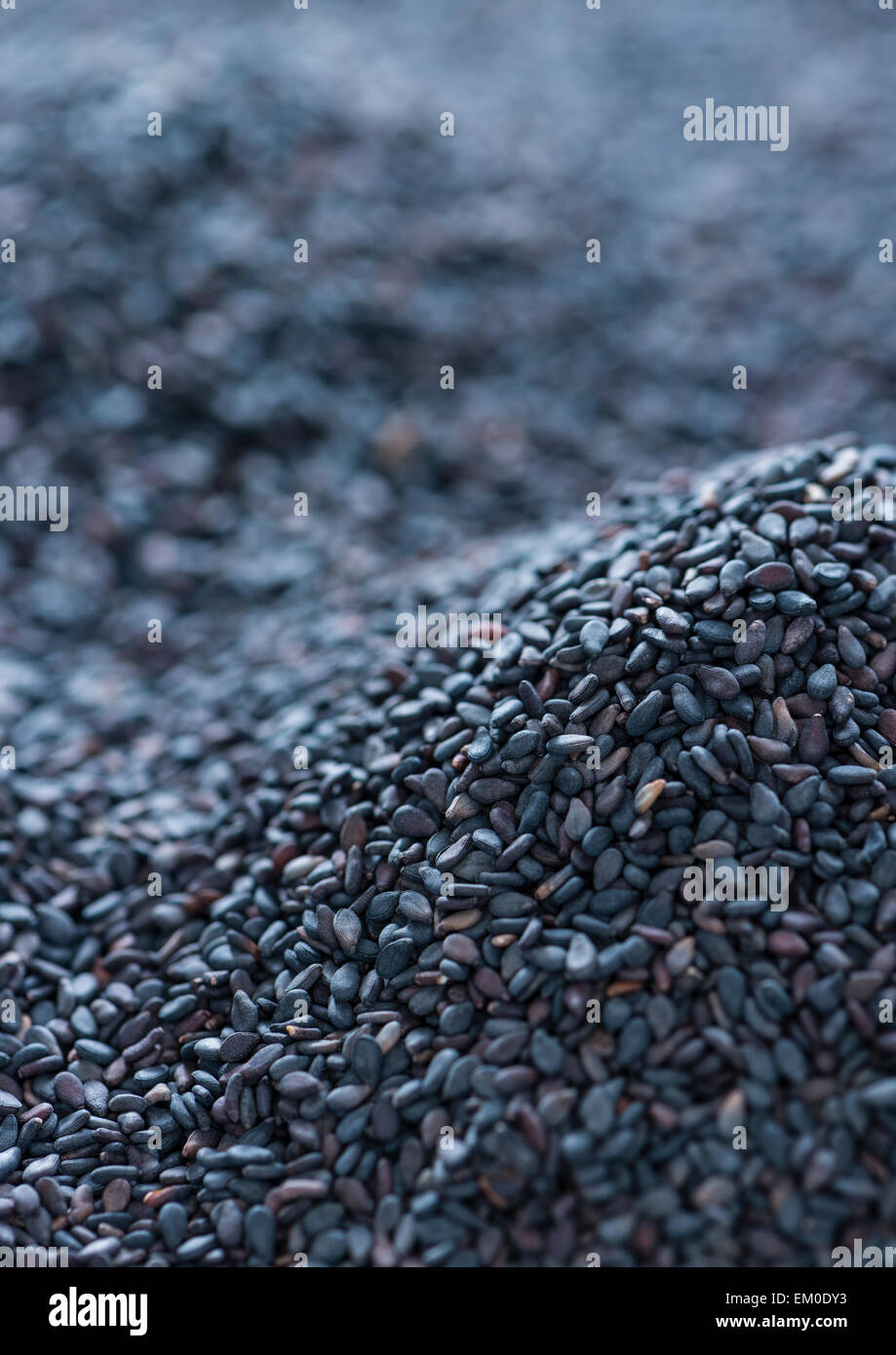 Portion of black Sesame (detailed close-up shot) for use as background ...