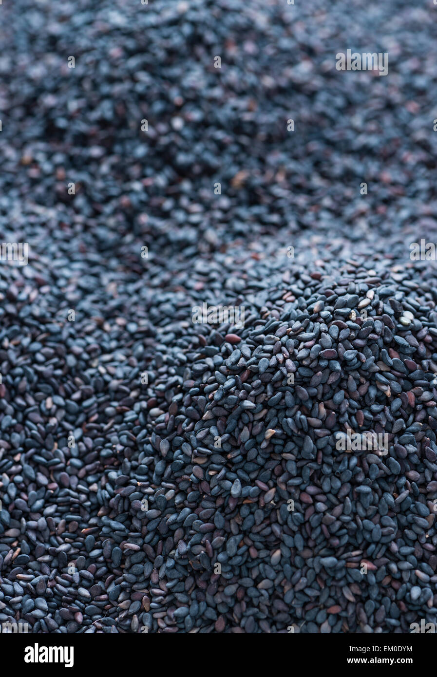 Portion of black Sesame (detailed close-up shot) for use as background ...