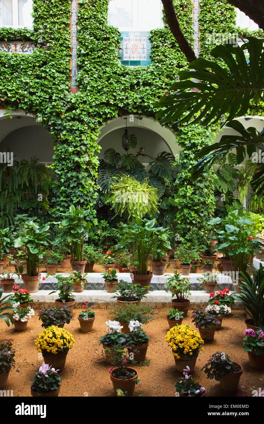 Flower Pots In An Inner Courtyard; Sevilla Andalucia Spain Stock Photo ...