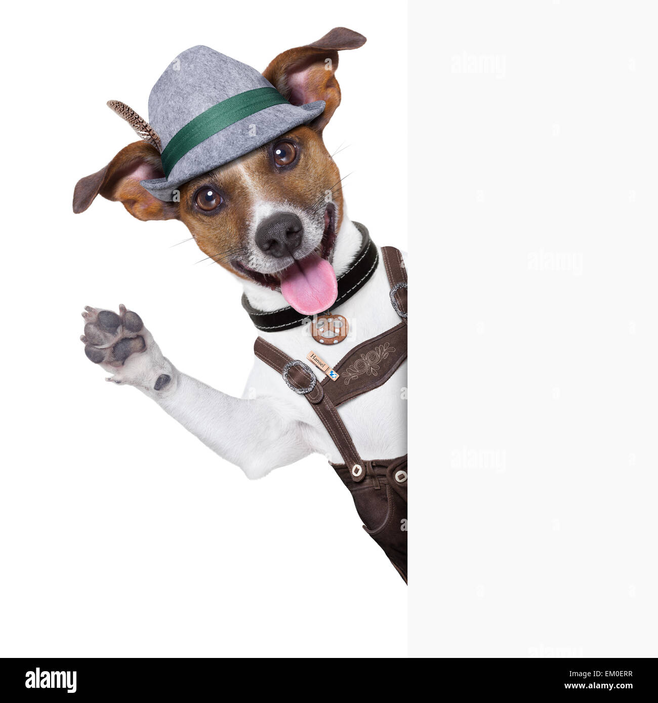 The doggy bar hi-res stock photography and images - Alamy