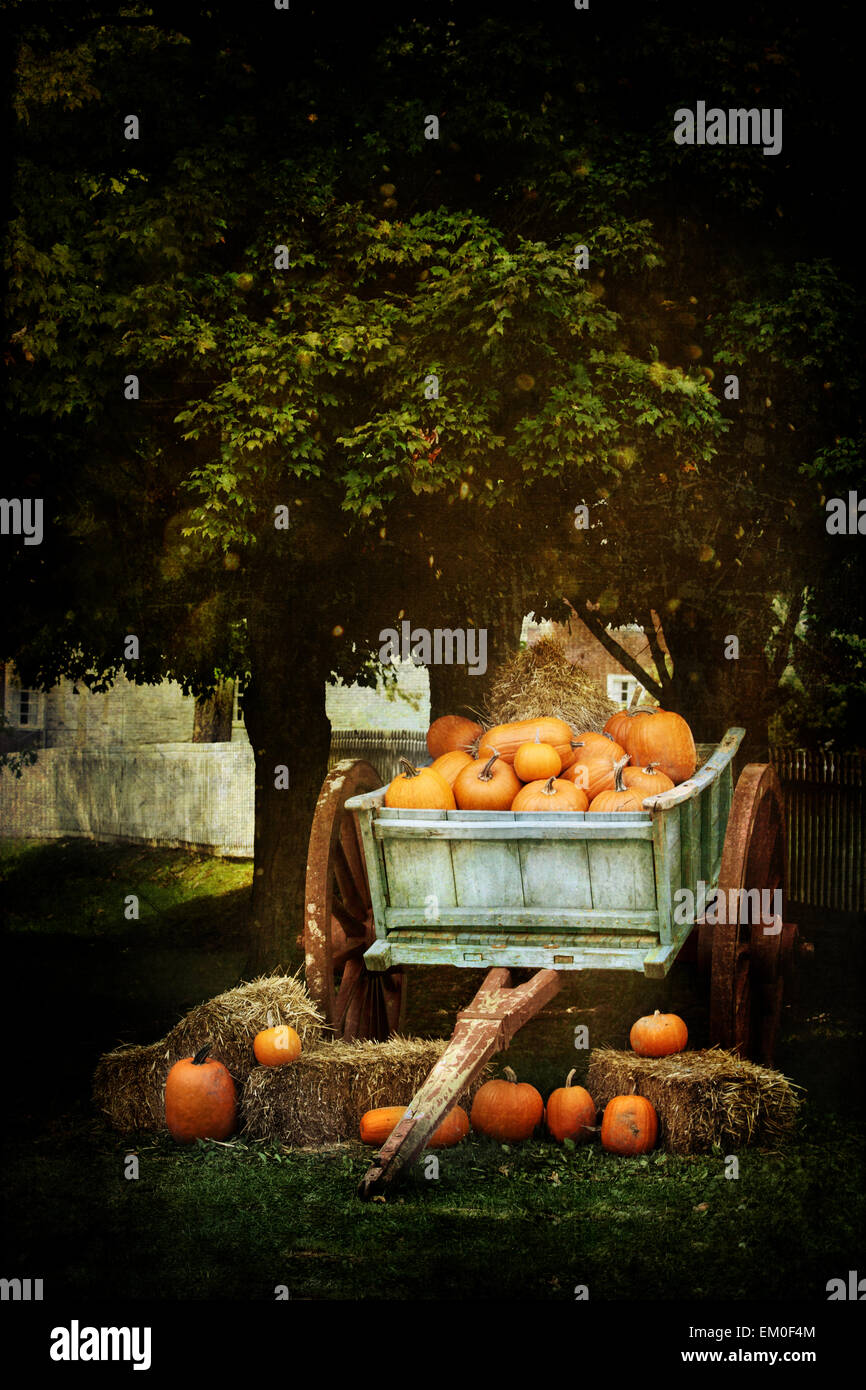 Wagon load full fall hi-res stock photography and images - Alamy
