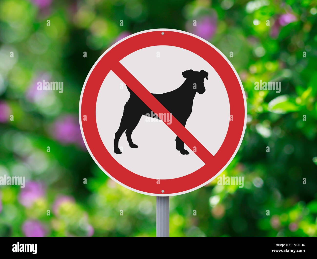 Prohibited dogs hi-res stock photography and images - Alamy
