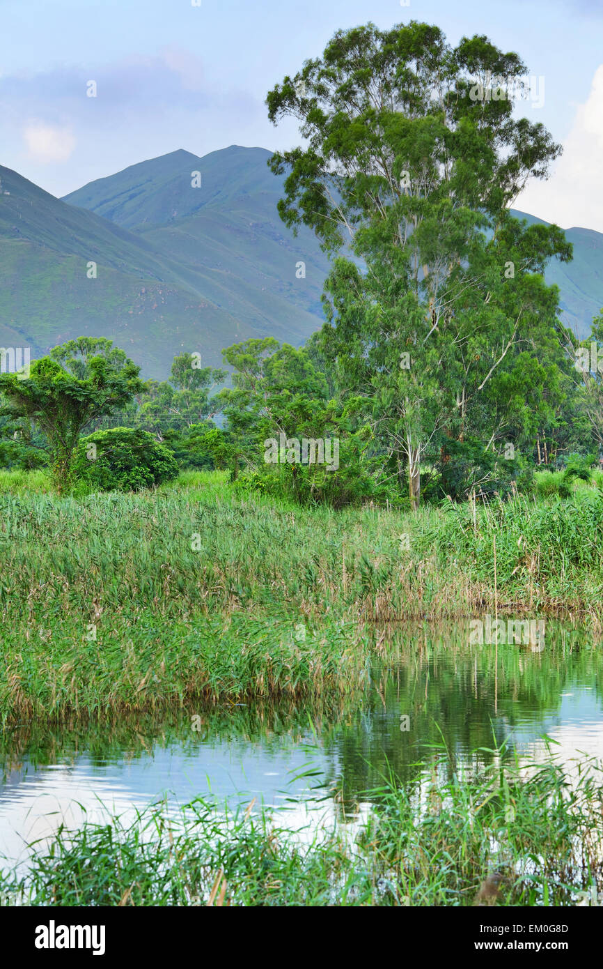 China wetland protection hi-res stock photography and images - Alamy