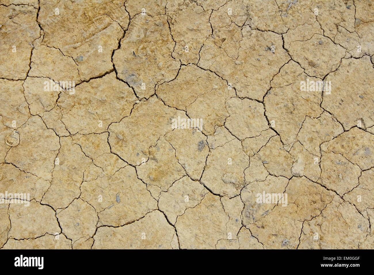 Dried crack land Stock Photo - Alamy