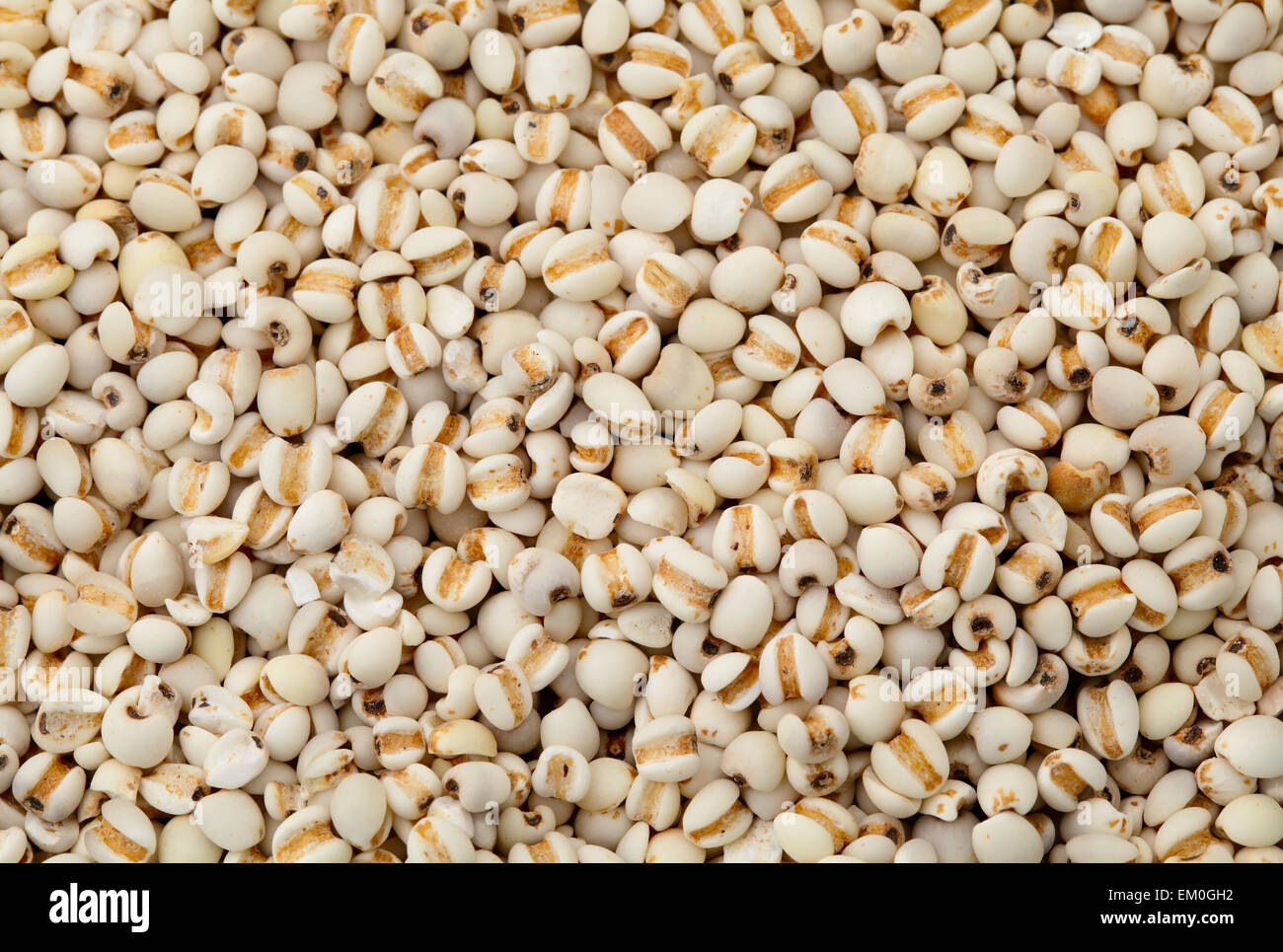 Coix seeds hi-res stock photography and images - Alamy