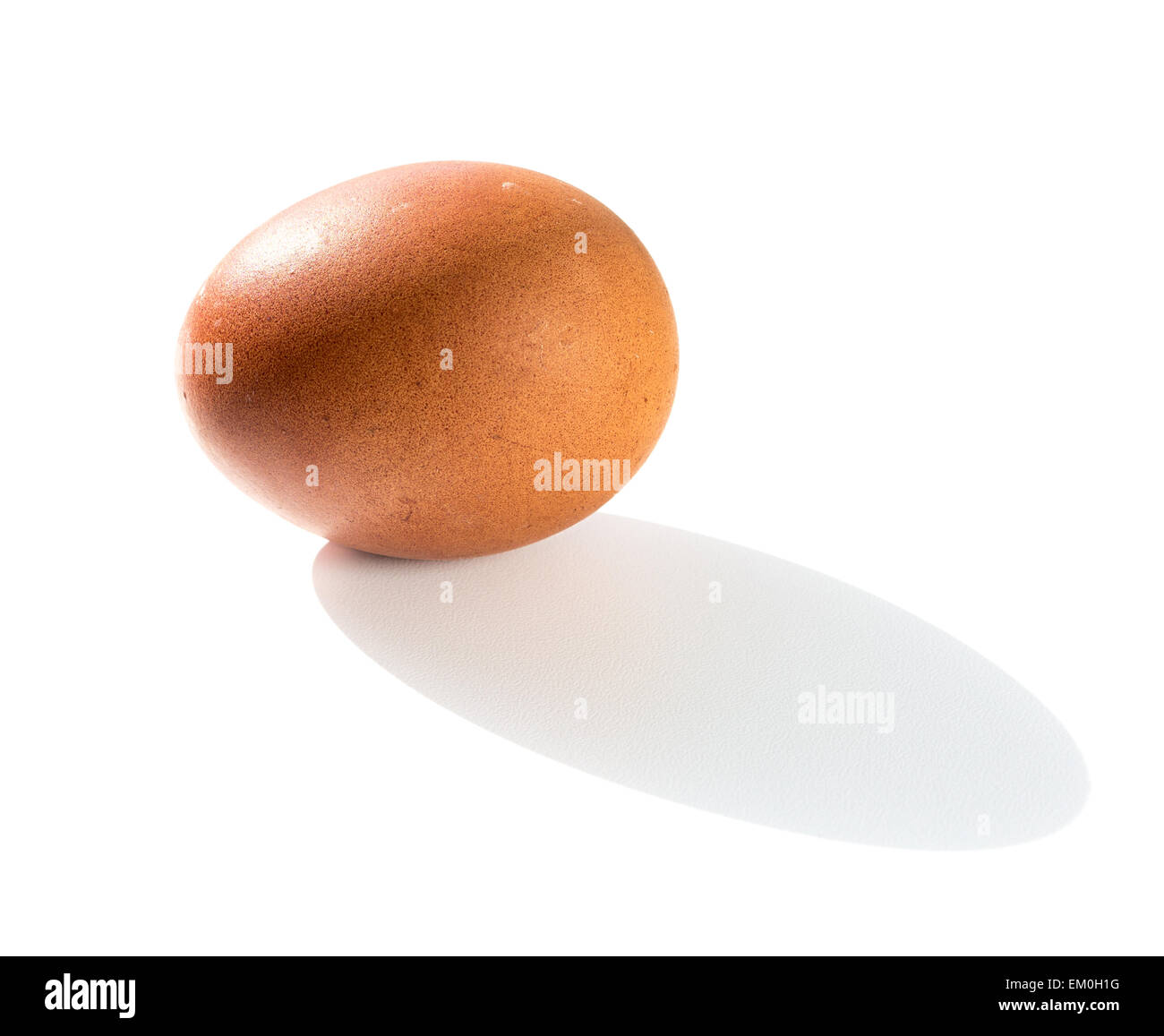 Poultry animal hi-res stock photography and images - Alamy