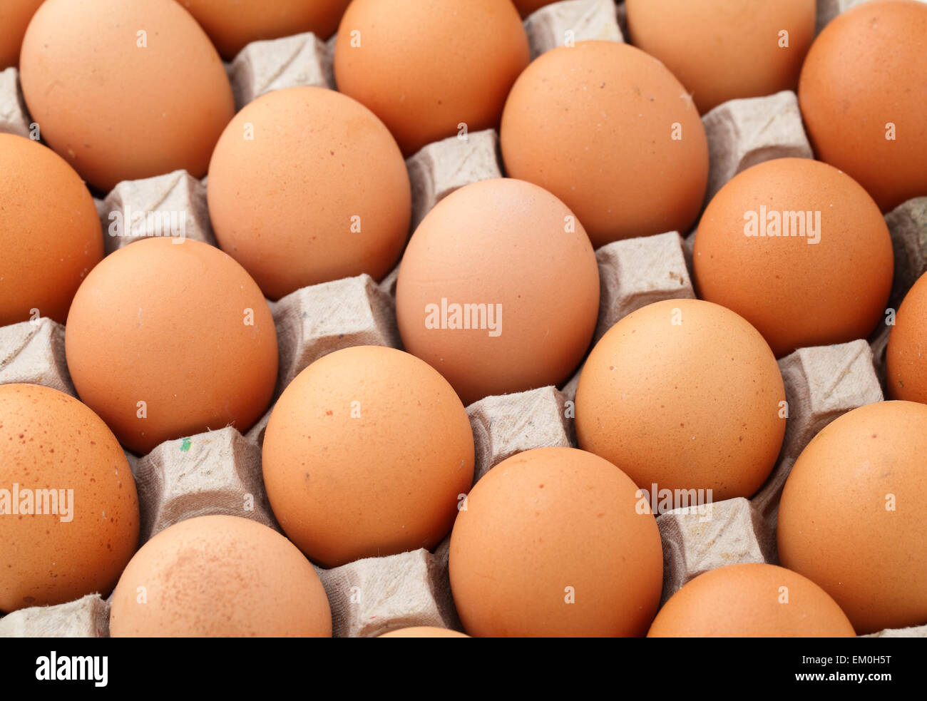 Farm egg in paper container Stock Photo - Alamy