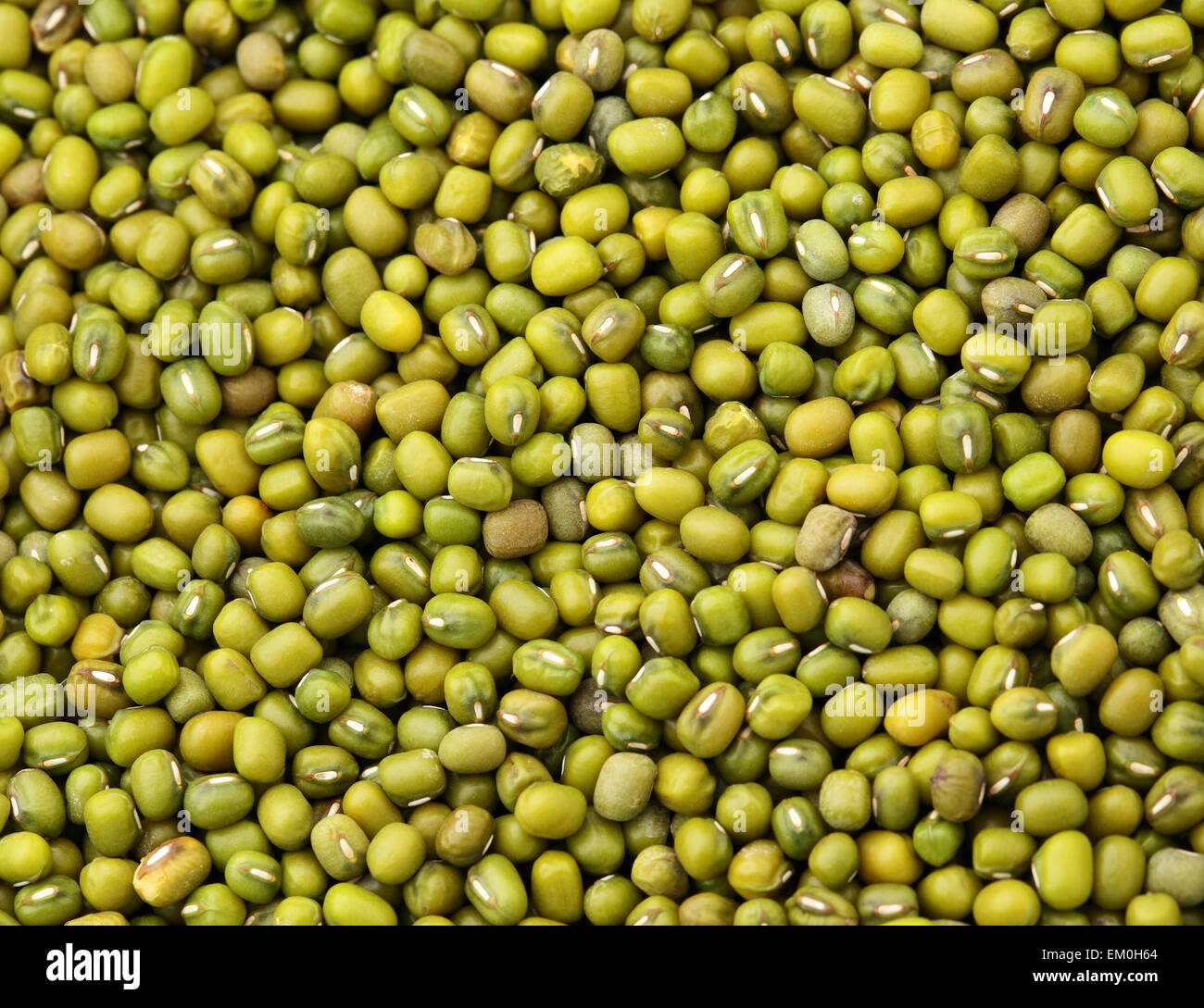 Mung bean close up Stock Photo - Alamy