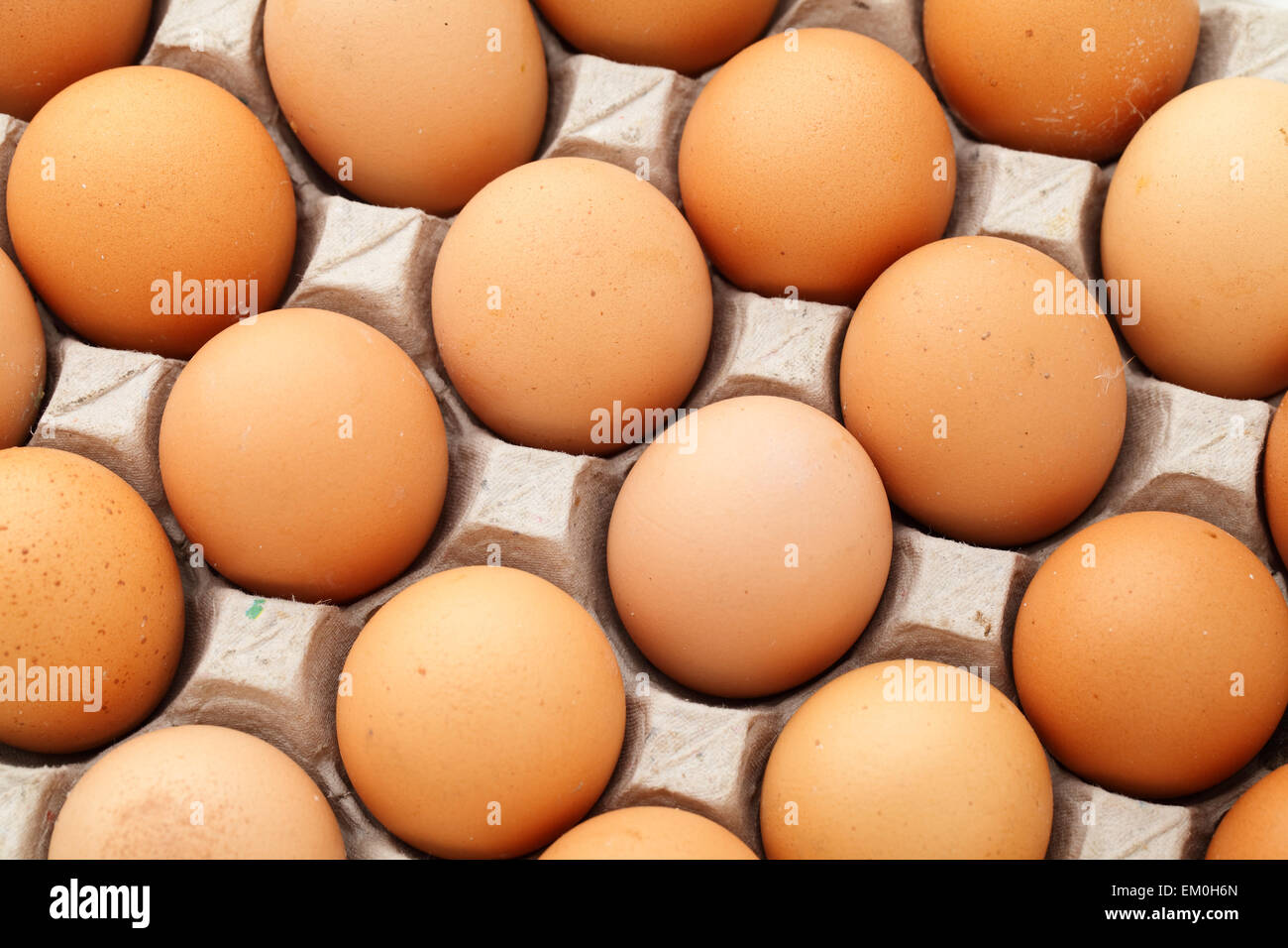 Farm egg in paper container Stock Photo - Alamy