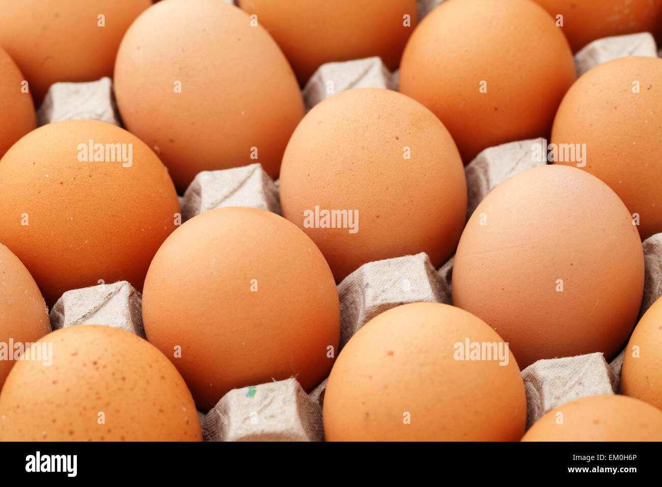 Egg farm packing hi-res stock photography and images - Alamy