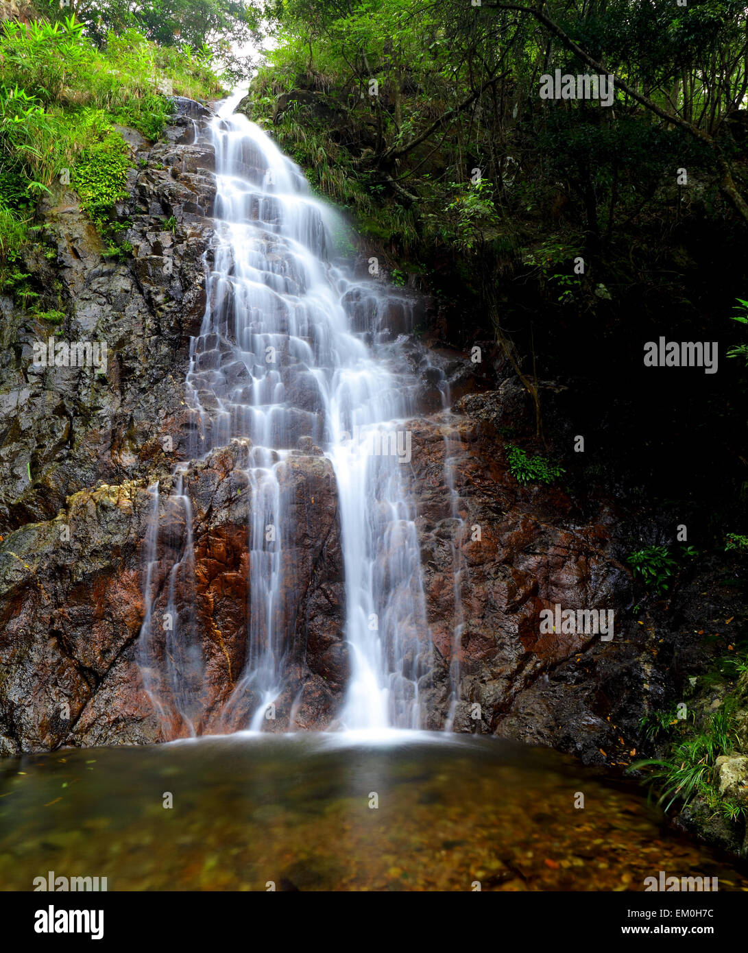 Waterfall in forest Stock Photo - Alamy
