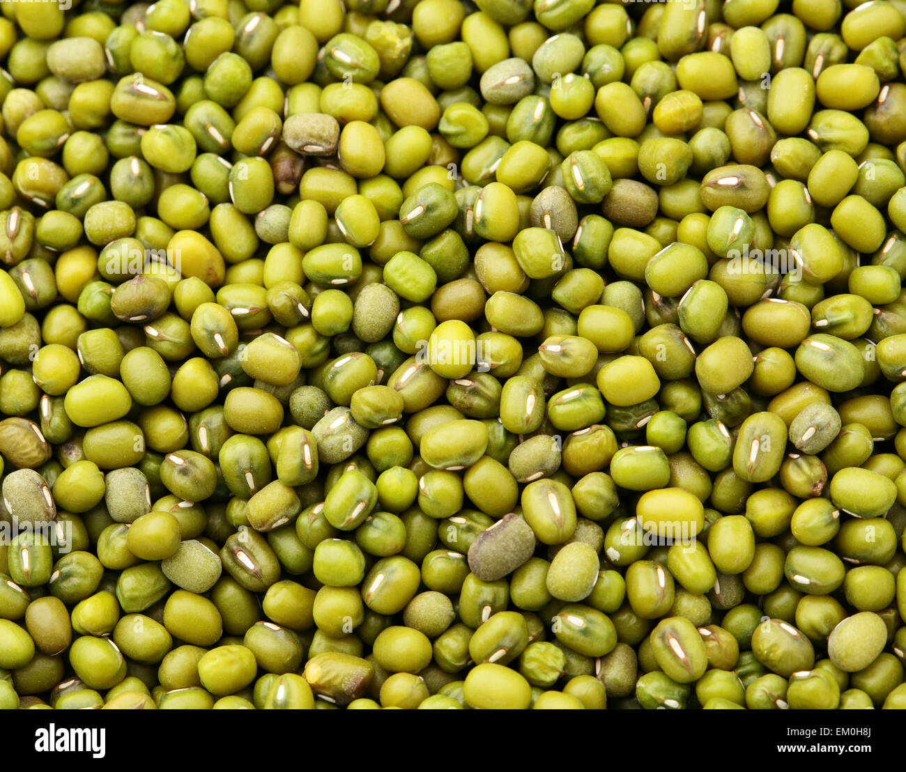 Mung bean seed hi-res stock photography and images - Alamy