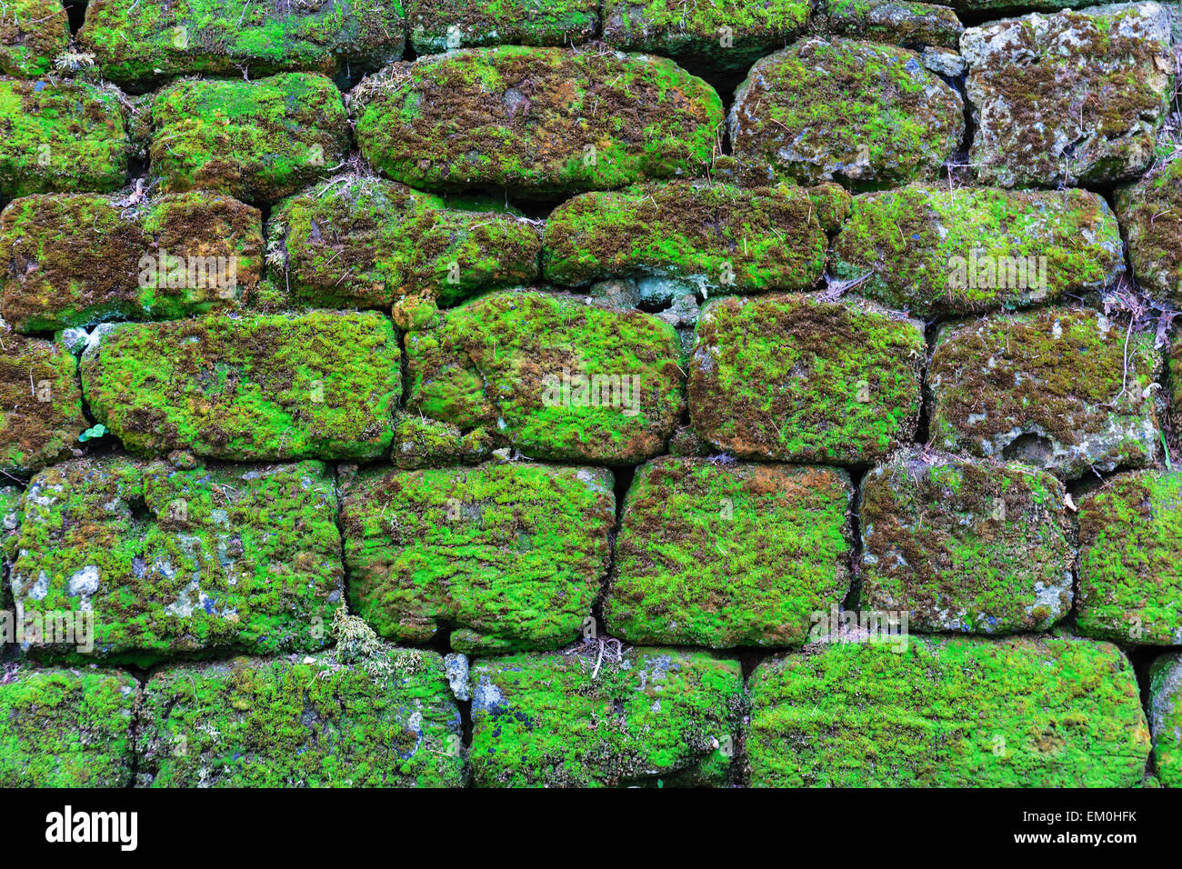 Old stone wall overgrown with moss Stock Photo - Alamy