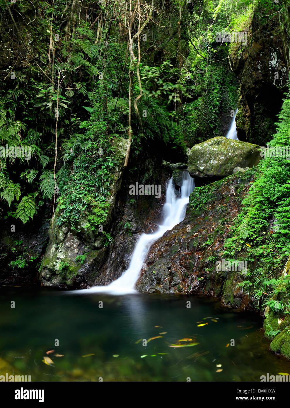 Waterfall in forest Stock Photo - Alamy