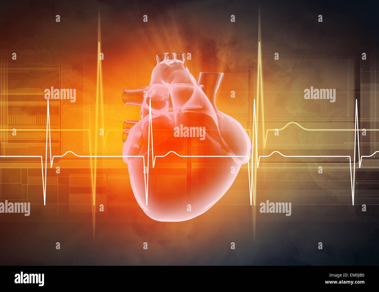 Human heart beats Stock Photo - Alamy