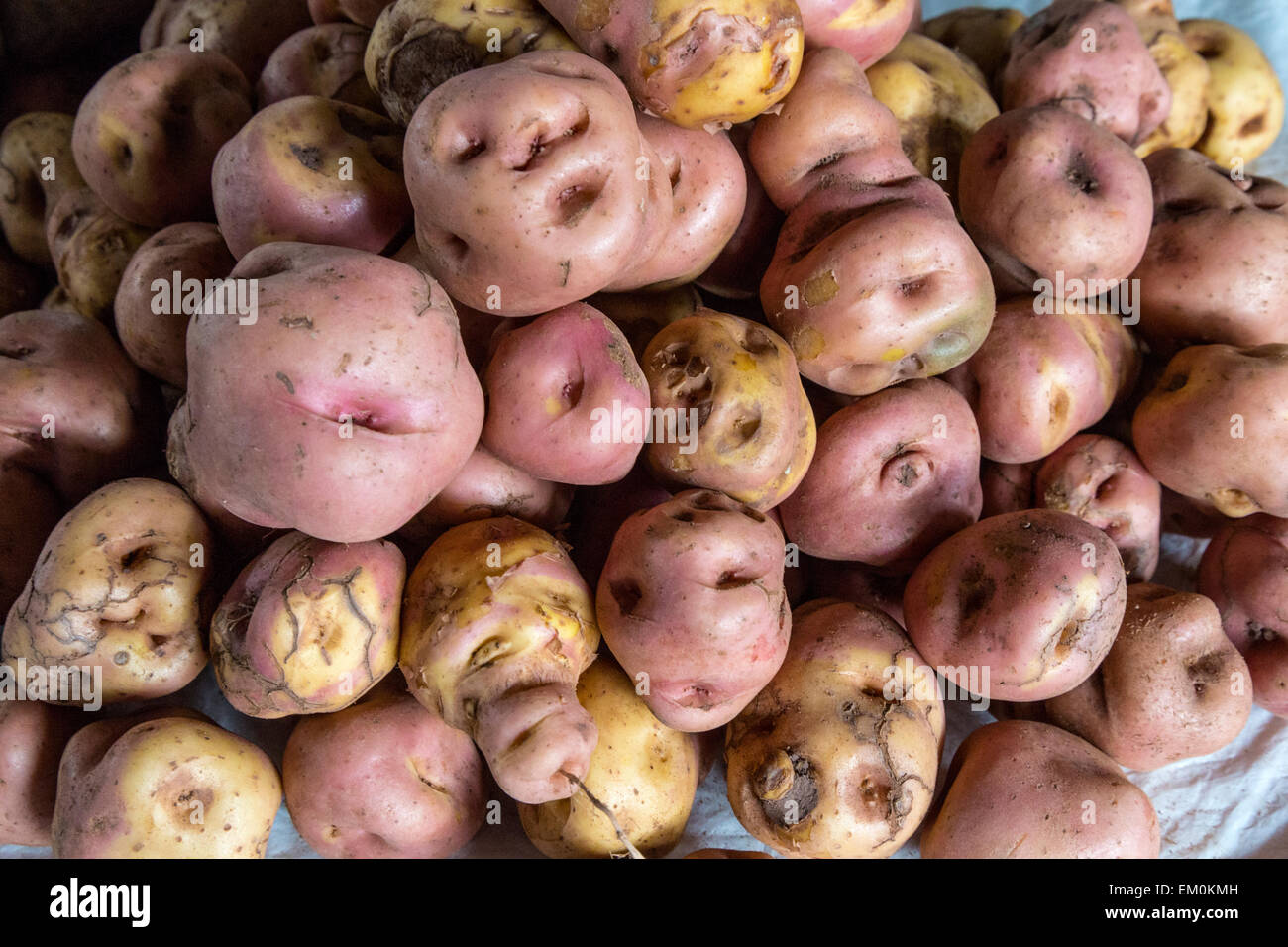 Potato market peru hi-res stock photography and images - Alamy