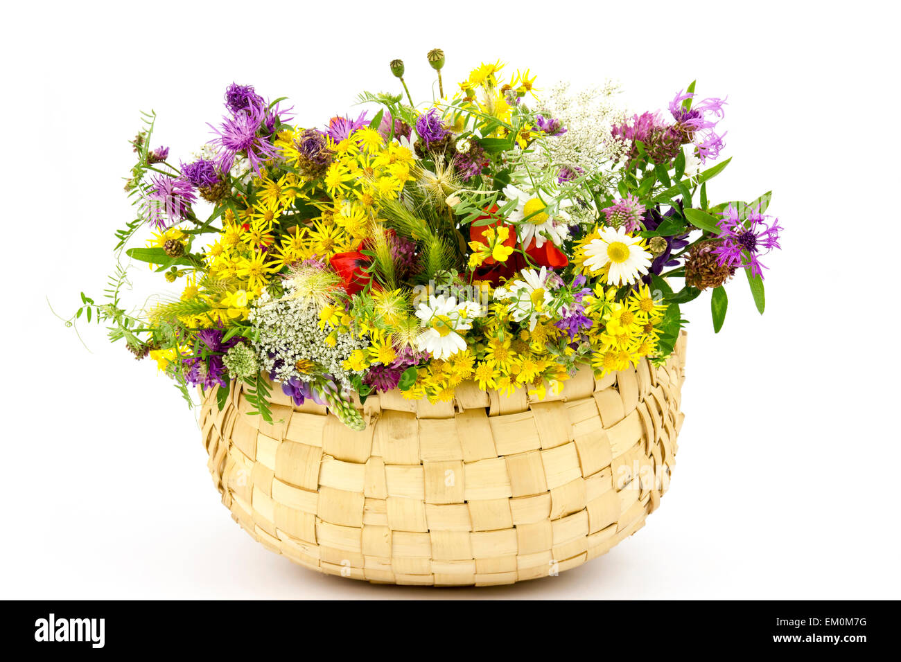 wild flowers in a basket Stock Photo - Alamy