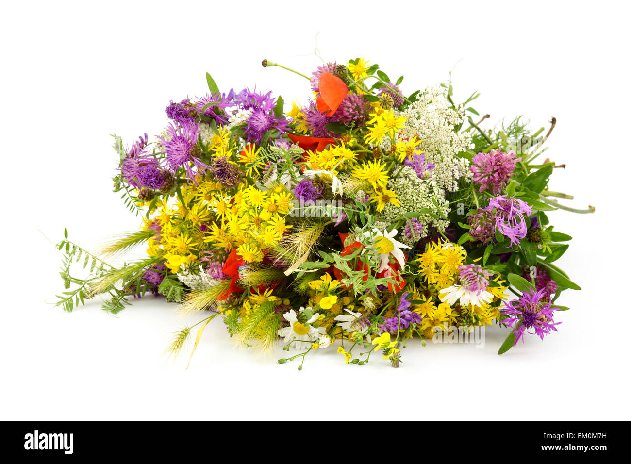 Field summer wild flowers Cut Out Stock Images & Pictures - Alamy