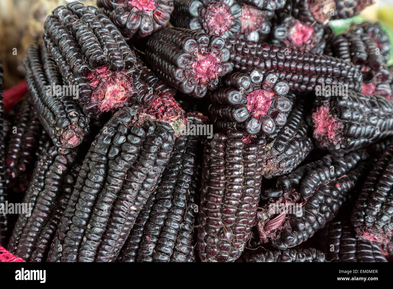 Peru, Cusco, San Pedro Market. Black-kerneled Corn (Maize), one of Many ...