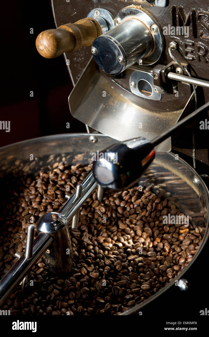 Coffee Beans; Cusco Peru Stock Photo - Alamy