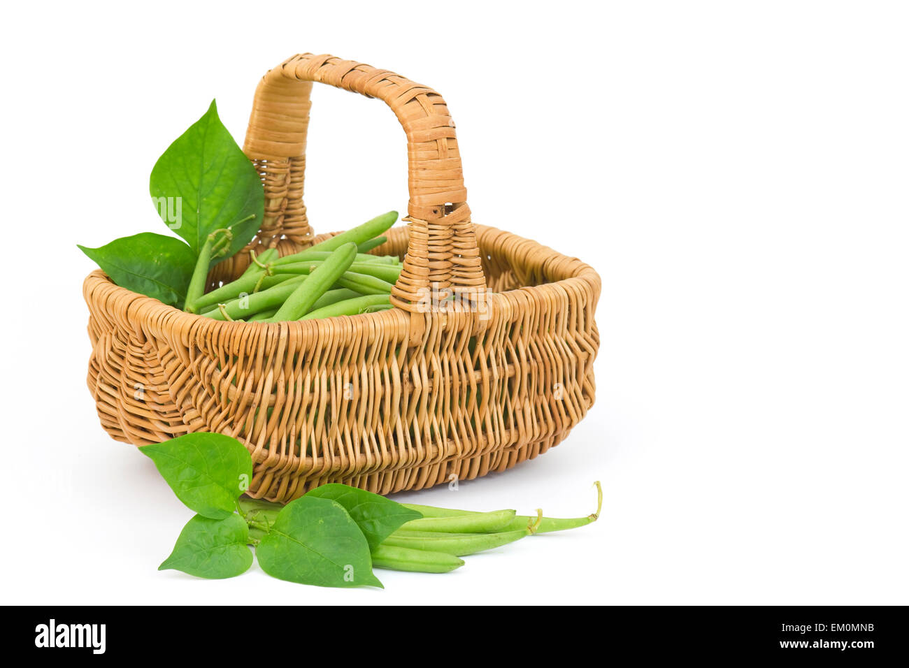 Fresh green bean in Cut Out Stock Images & Pictures - Alamy