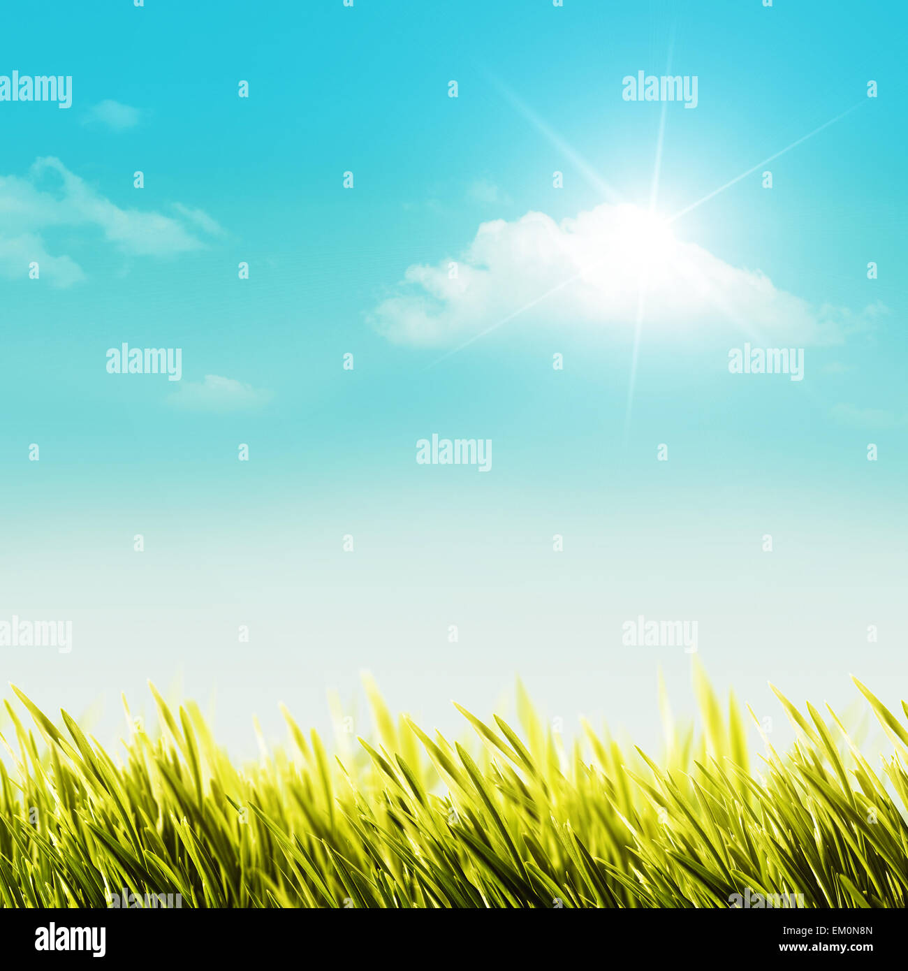 Shiny summer day on the meadow, natural backgrounds Stock Photo - Alamy