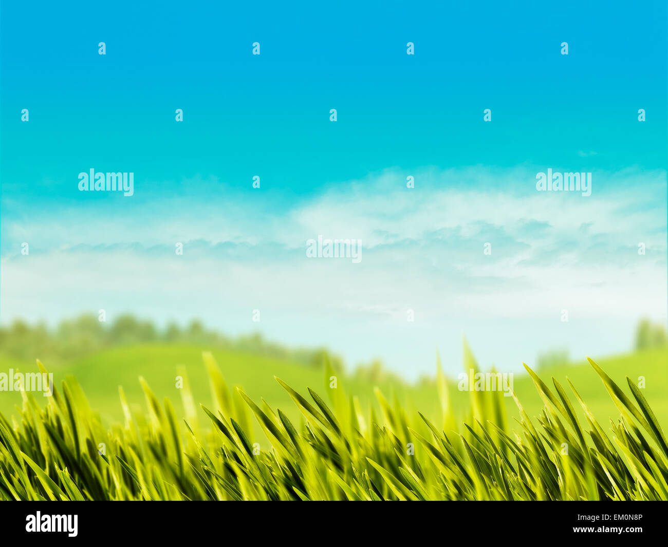 Shiny summer day on the meadow, natural backgrounds Stock Photo - Alamy