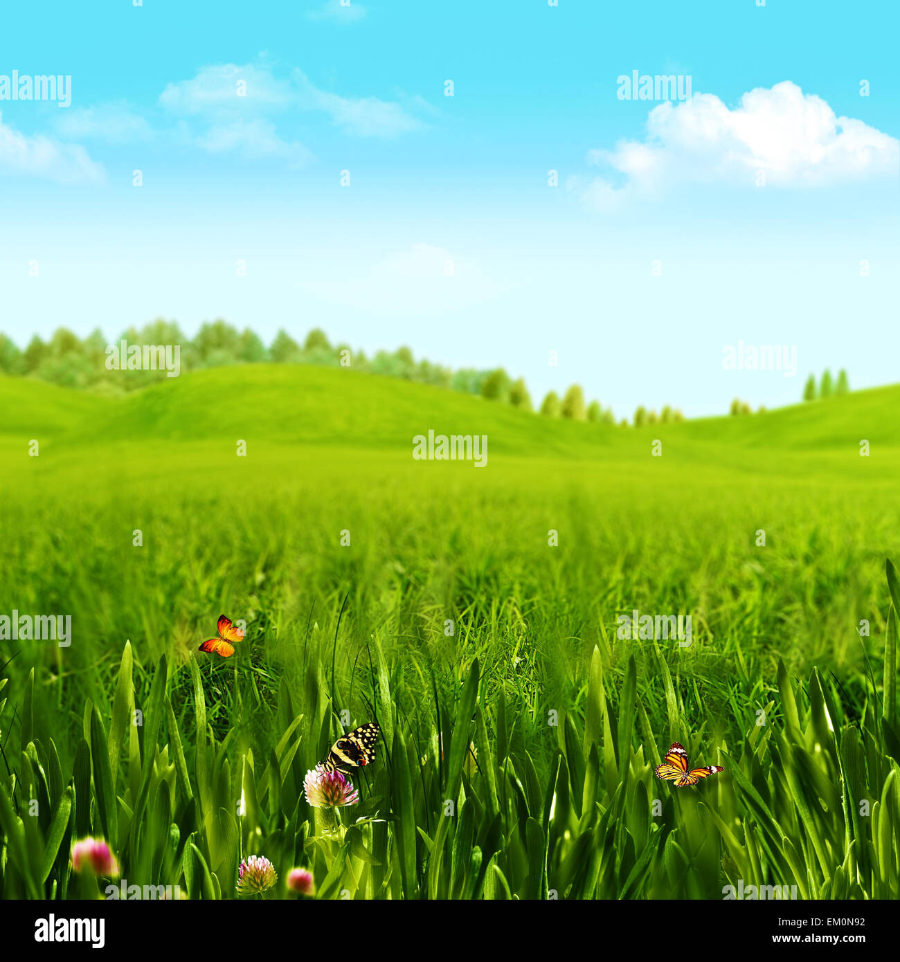Shiny summer day on the meadow, natural backgrounds Stock Photo - Alamy
