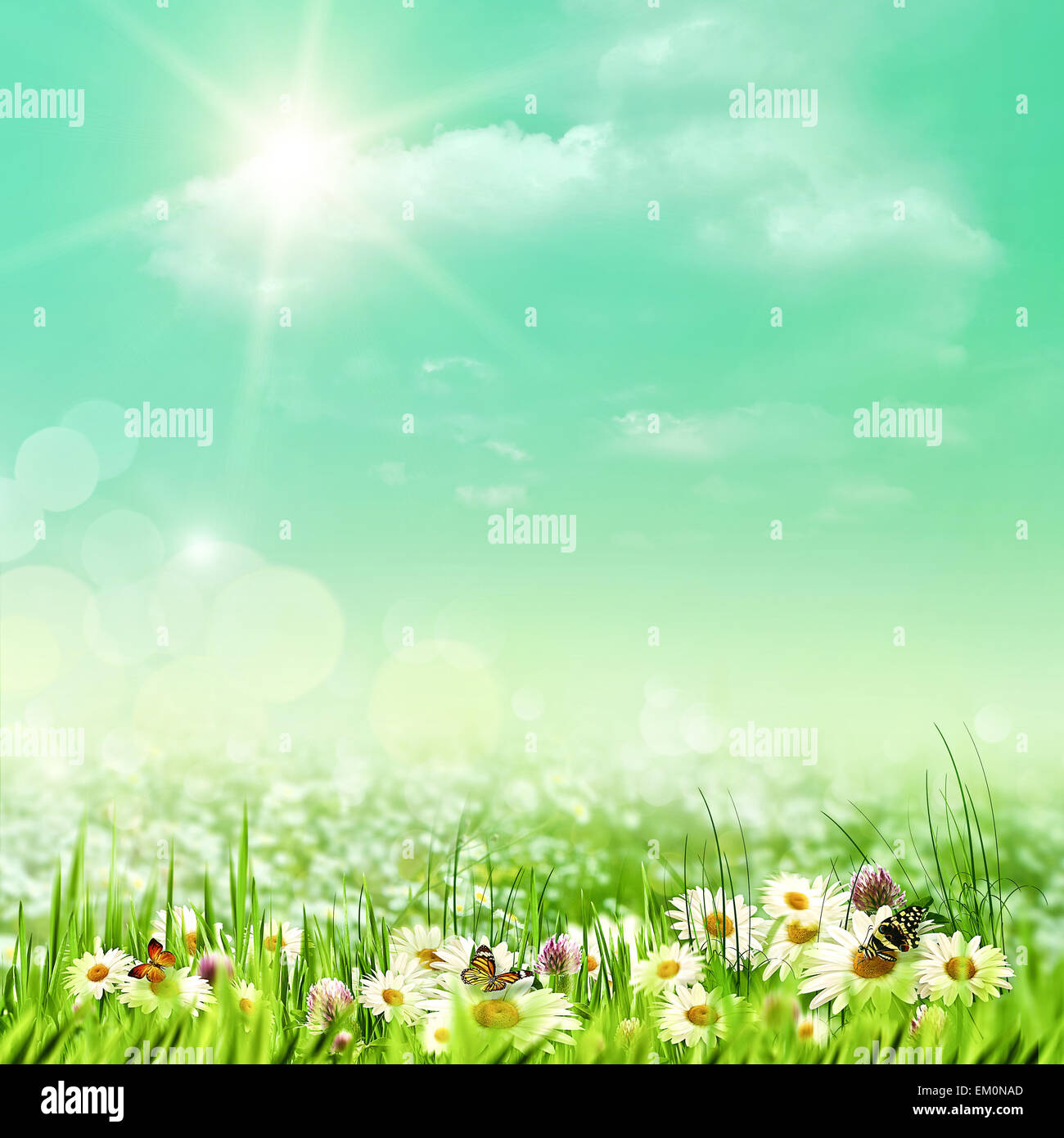 Shiny summer day on the meadow, natural backgrounds Stock Photo - Alamy