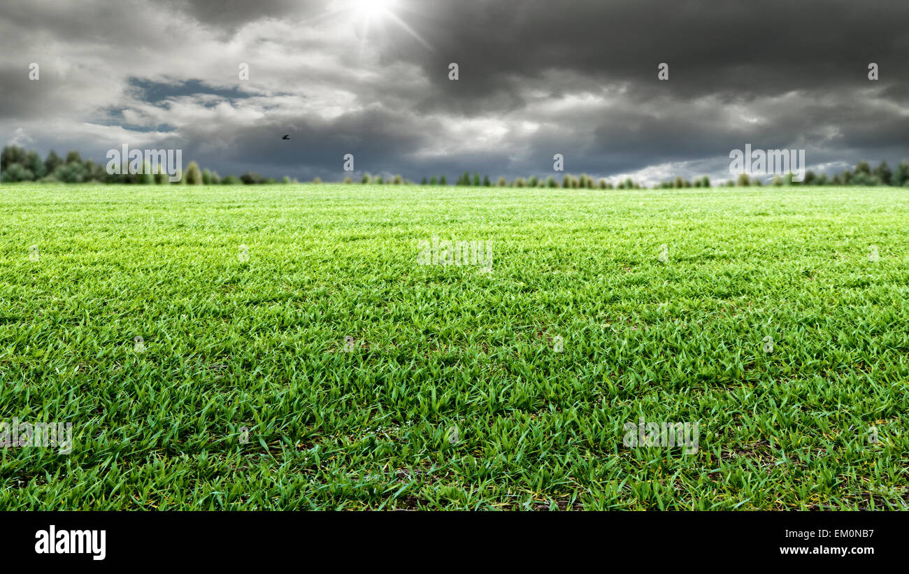 After the rain, natural landscape Stock Photo - Alamy