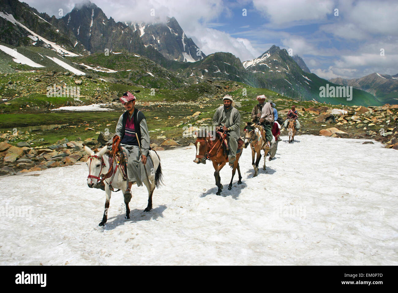 Bakarwal Gujjar Men Ride Their Ponies To Work; Kashmir India Stock ...